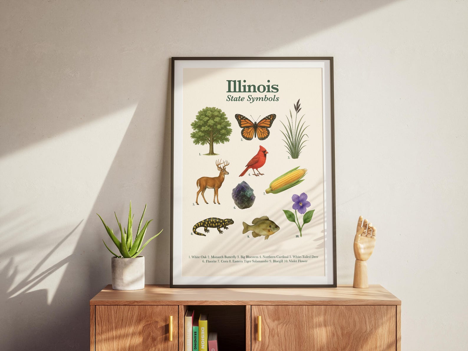 Illinois State Symbols Poster — Vintage Educational Wildlife Print - Etsy
