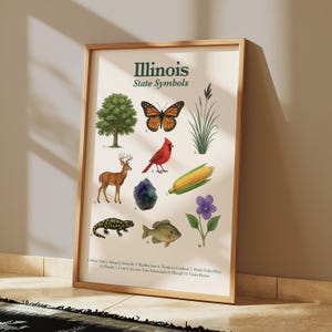 Illinois State Symbols Poster | Educational Printable | State Animal ...