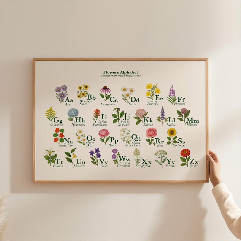 Wildflower ABC Poster: Botanical Alphabet Print for Kids (digital ...
