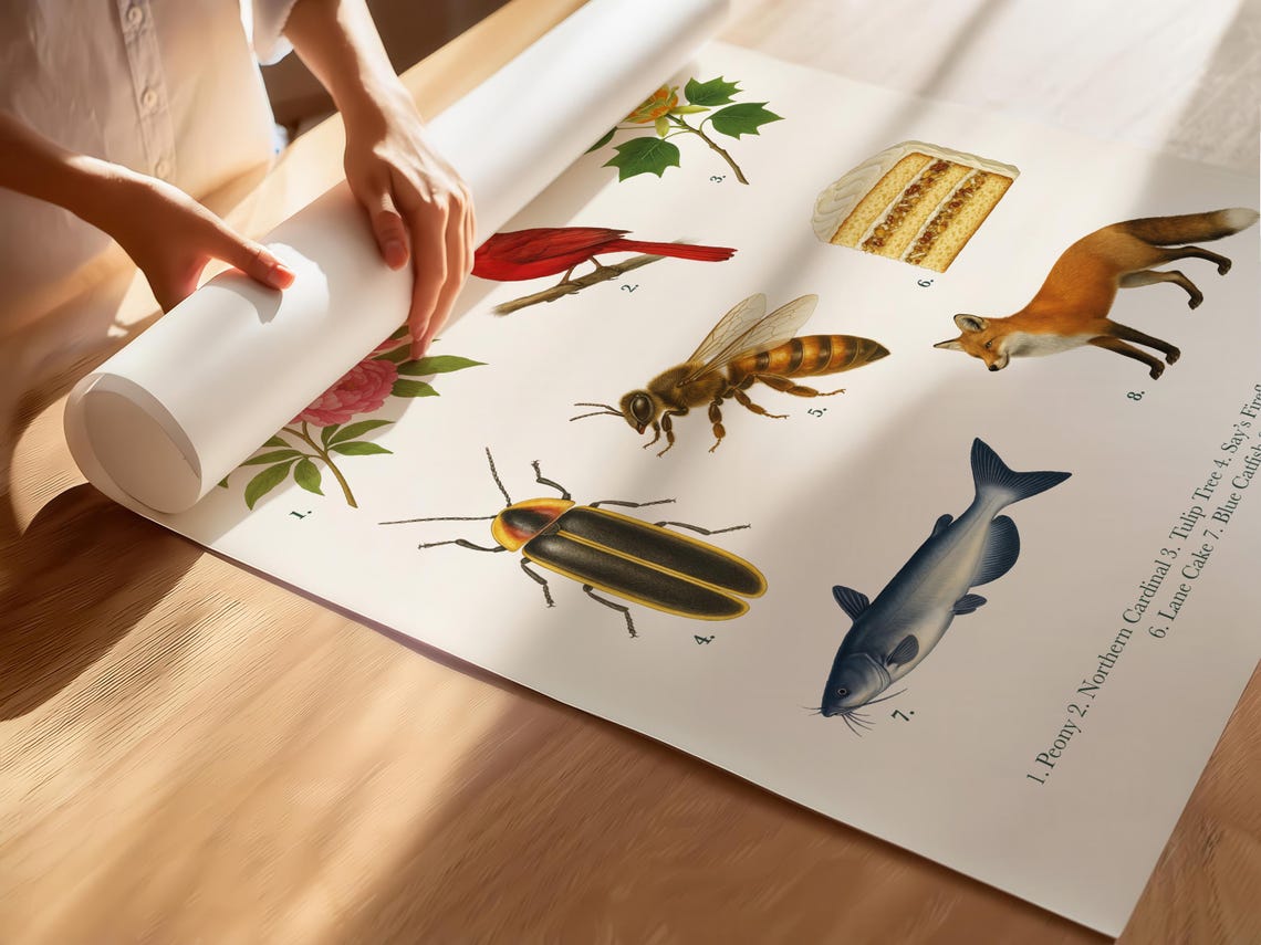 Indiana State Symbols Poster: Vintage Educational Art (digital Download ...