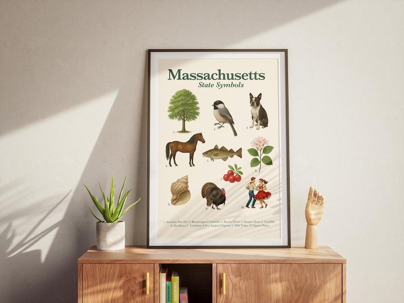 Massachusetts State Symbols Poster | Educational Printable | State ...