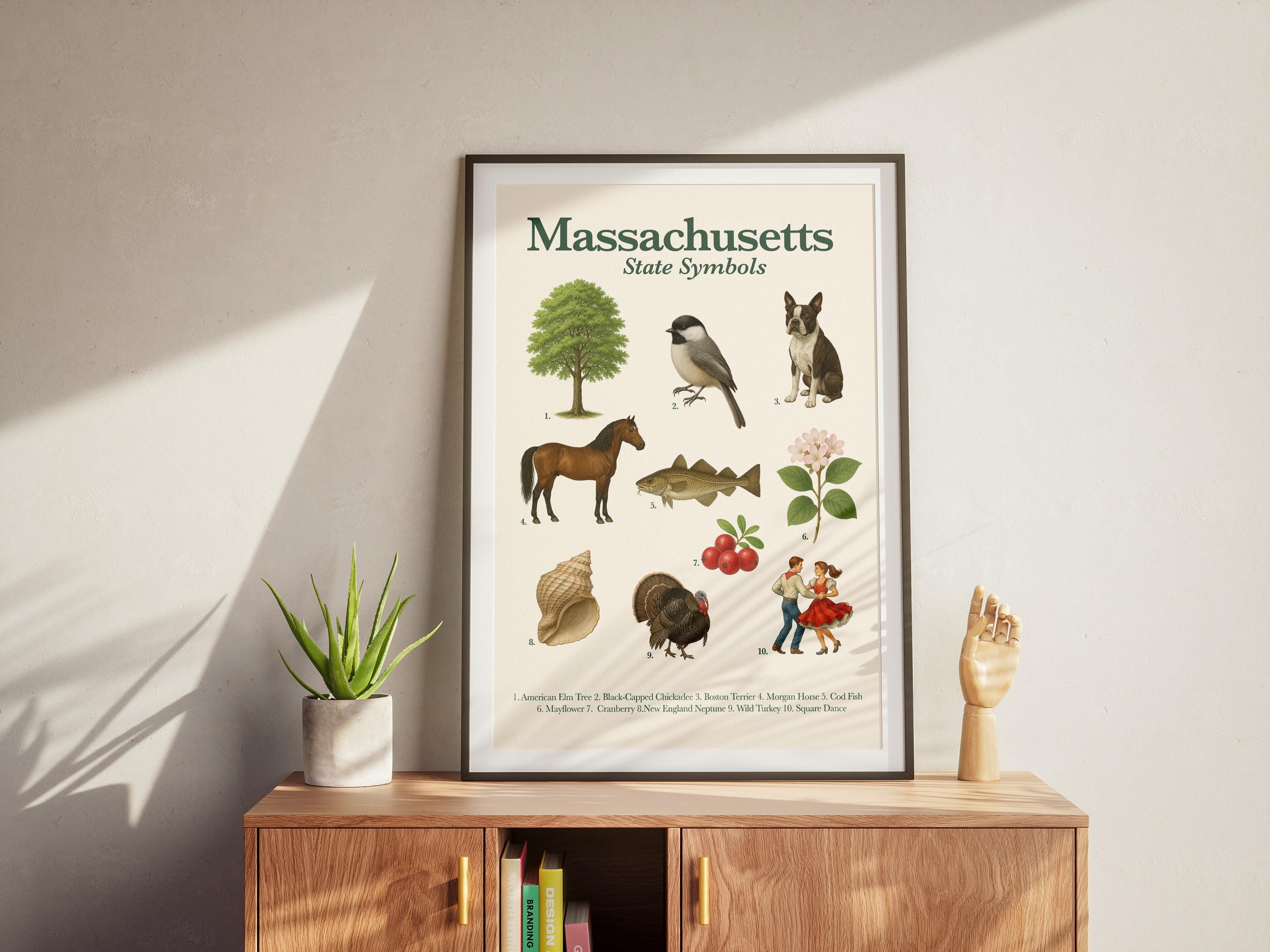 Massachusetts State Symbols Poster | Educational Printable | State ...