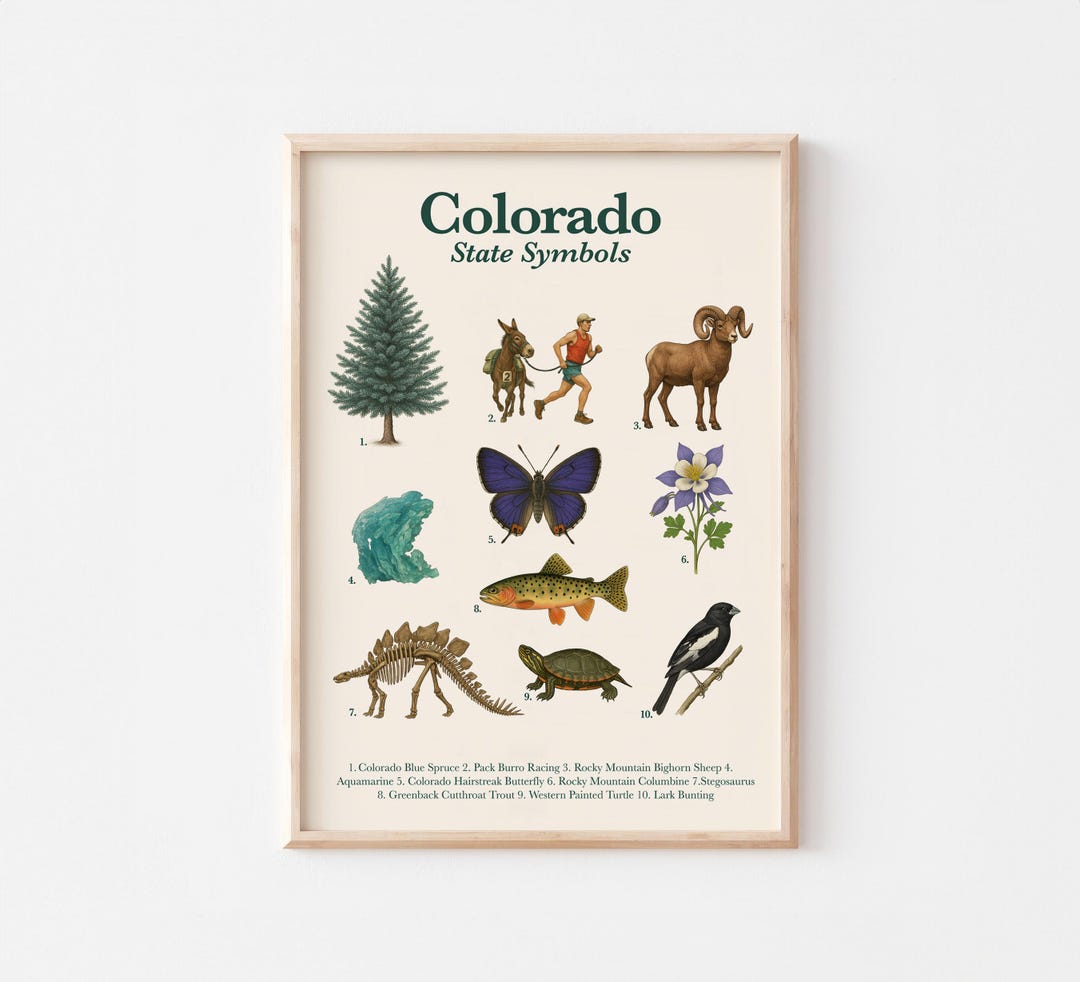 Colorado State Symbols Poster | Educational Wall Art | Kids Room Decor ...
