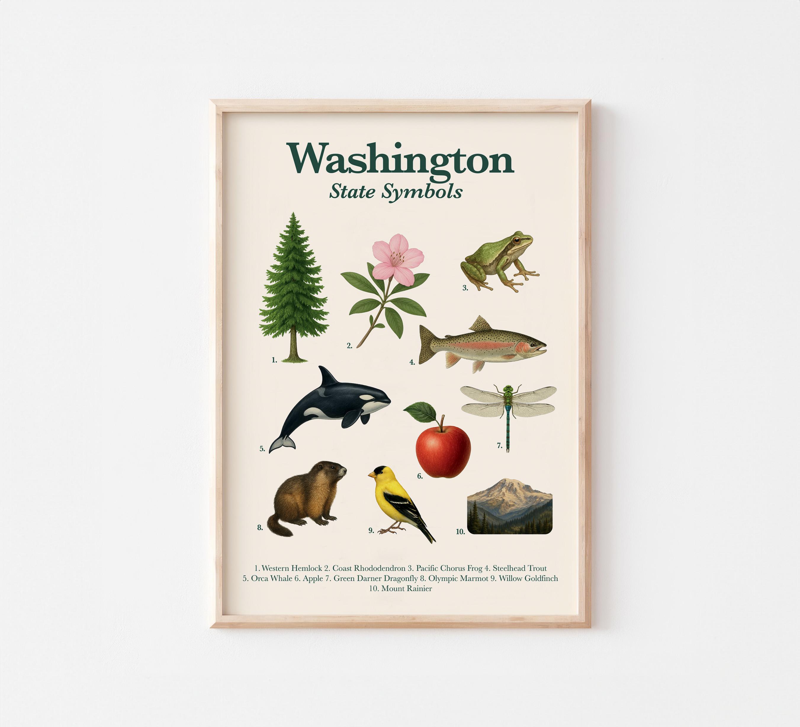Washington State Symbols Poster | Educational Printable | State Animal ...