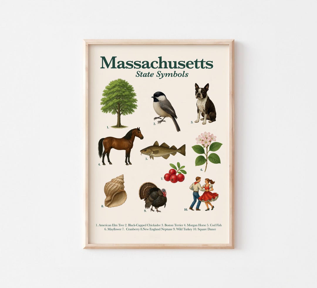 Massachusetts State Symbols Poster | Educational Printable | State ...