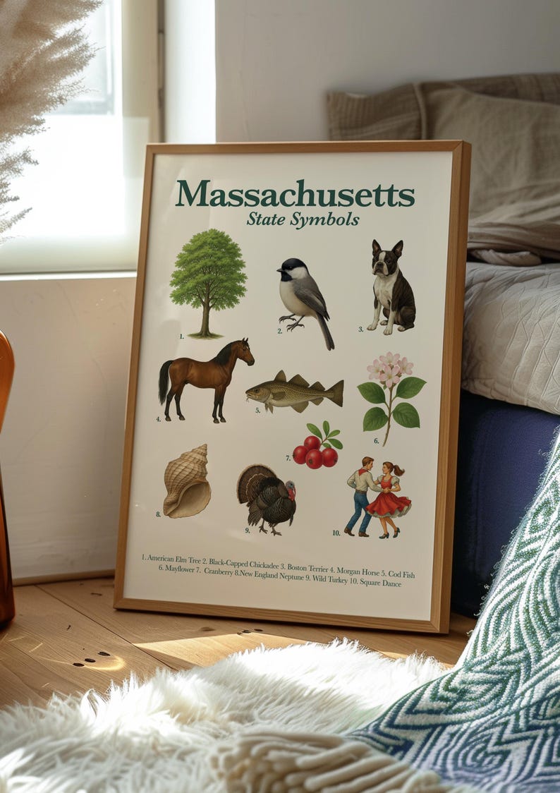 Massachusetts State Symbols Poster — Vintage Educational Wildlife Print ...
