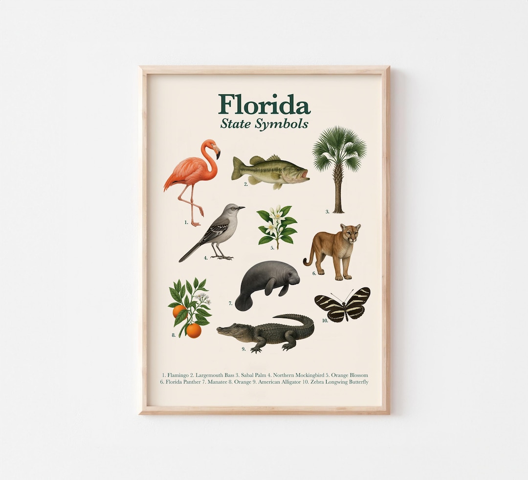 Florida State Symbols Poster | Educational Printable | State Animal ...