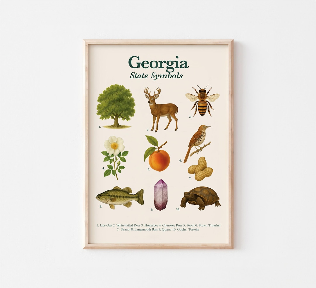 Georgia State Symbols Poster: Vintage-style Educational Art (digital ...