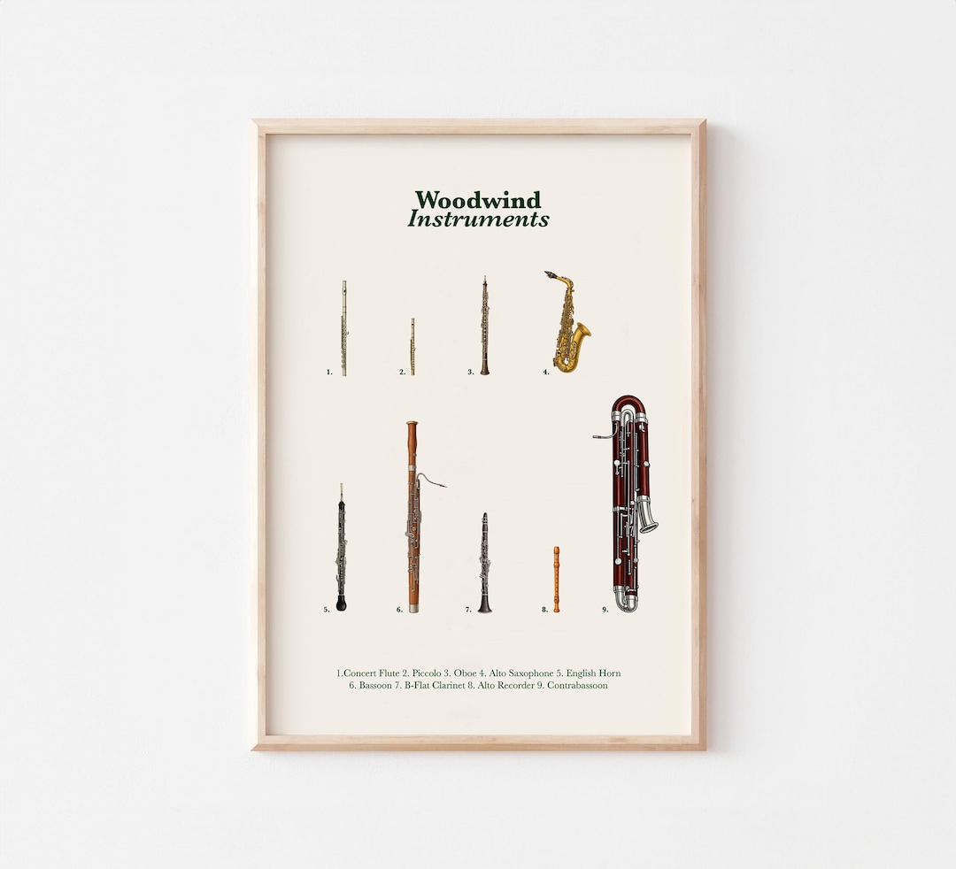 Woodwind Instruments Poster Illustrated Music Education Chart Classical ...