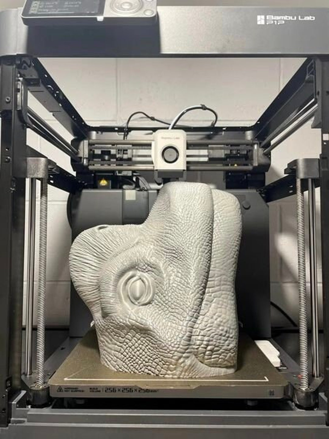 Dinosaur Head Wall Mount STL 3D Printing Files, Brachiosaurus Head ...