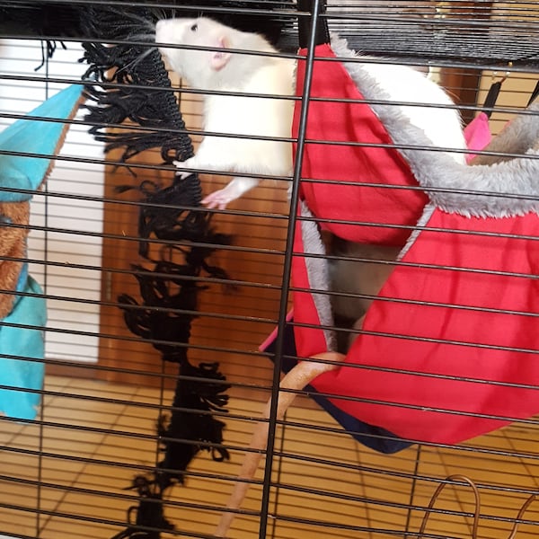 Rat Accessories - Etsy