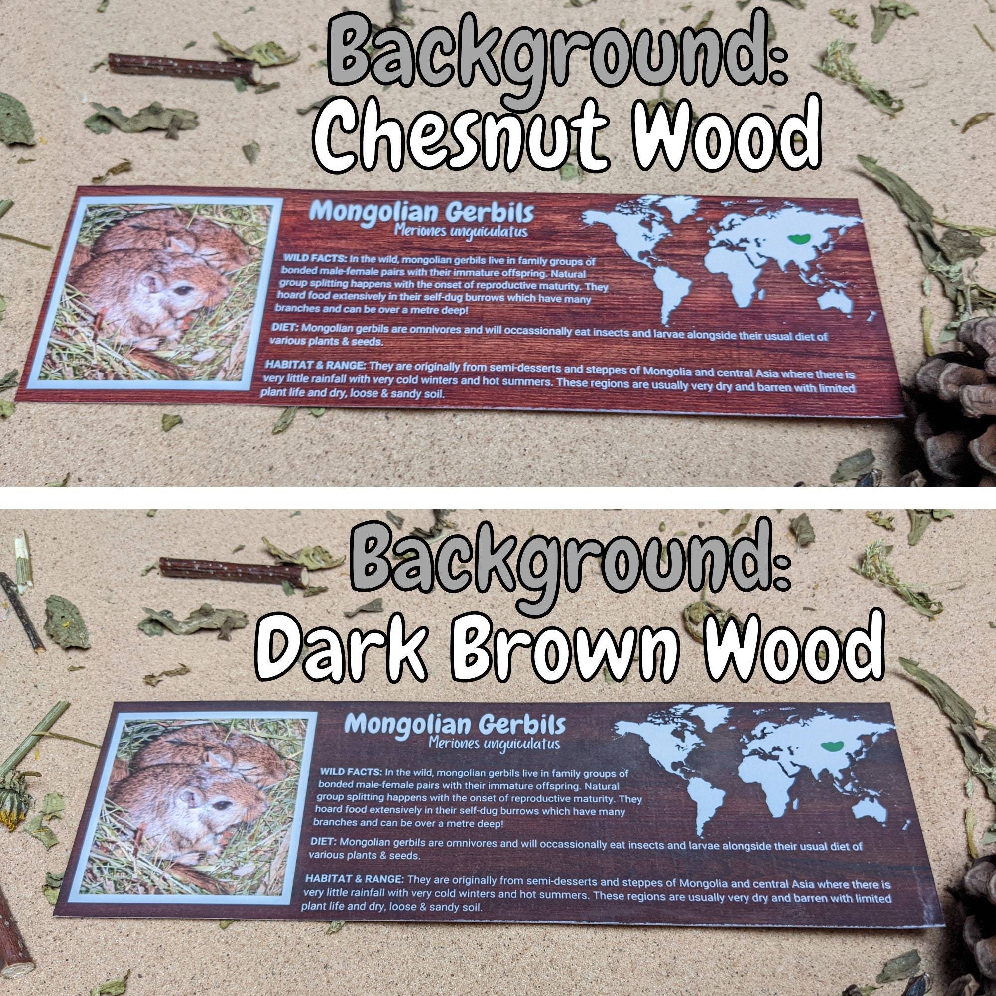 Personalised Gerbil Sticker for Tank/enclosure, Gerbil Accessories ...