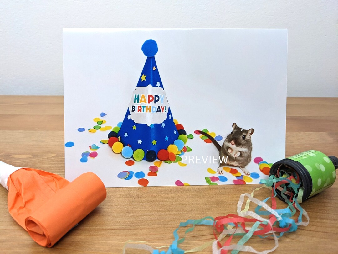 Cute Gerbil Birthday Card Happy Birthday Hat Horizontal - Etsy
