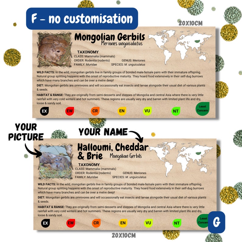 Personalised Gerbil Sticker for Tank/enclosure, Gerbil Accessories ...