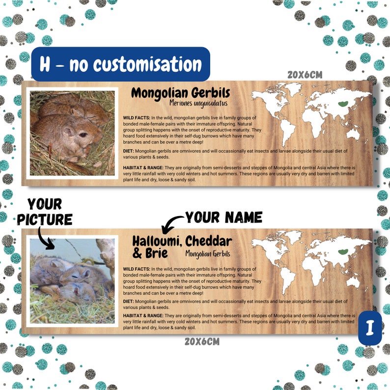 Personalised Gerbil Sticker for Tank/enclosure, Gerbil Accessories ...