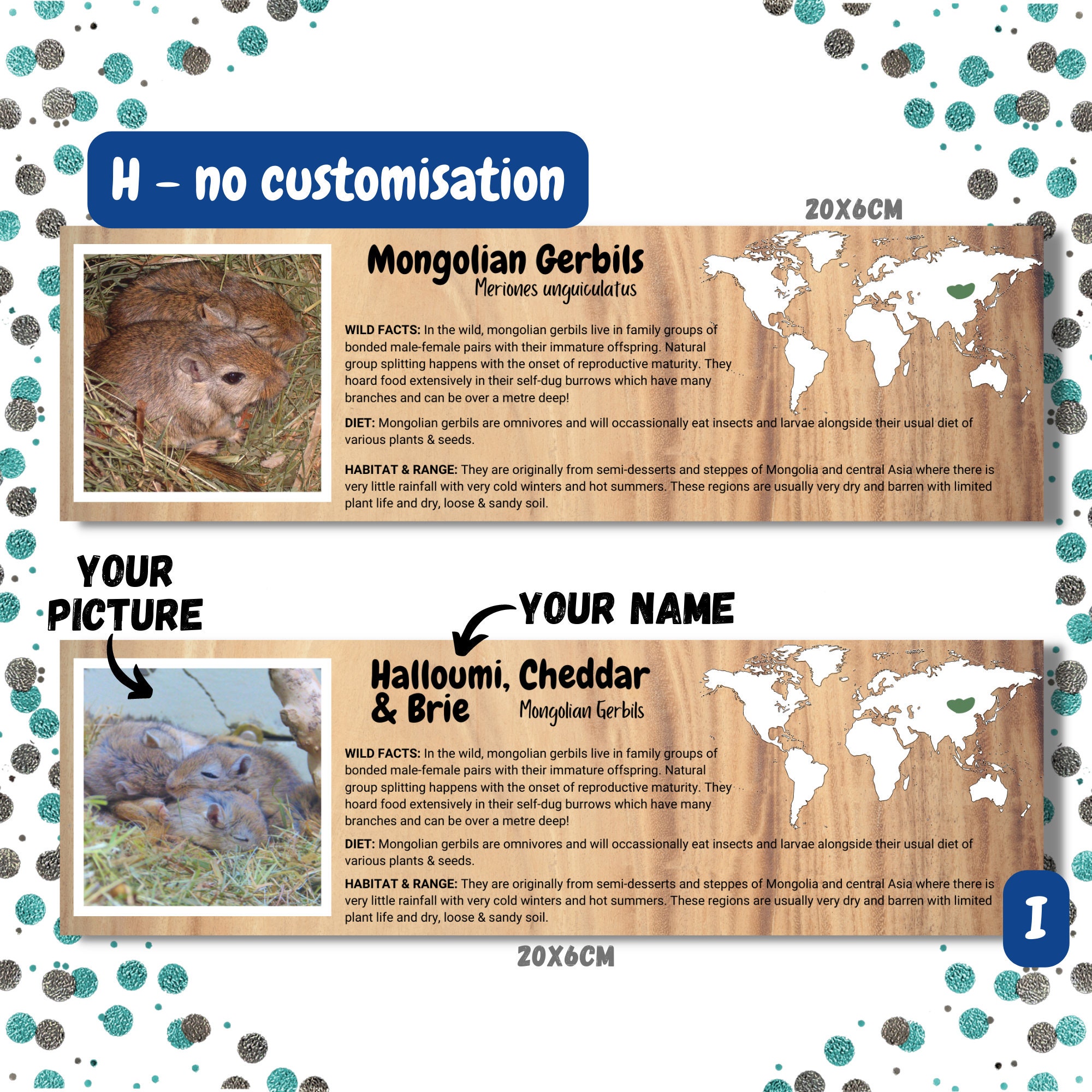 Personalised Gerbil Sticker for Tank/enclosure, Gerbil Accessories ...