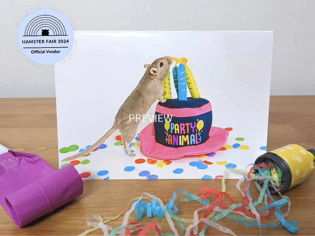 Cute Gerbil Birthday Card, Party Animal Hat, Horizontal Animal A6 ...