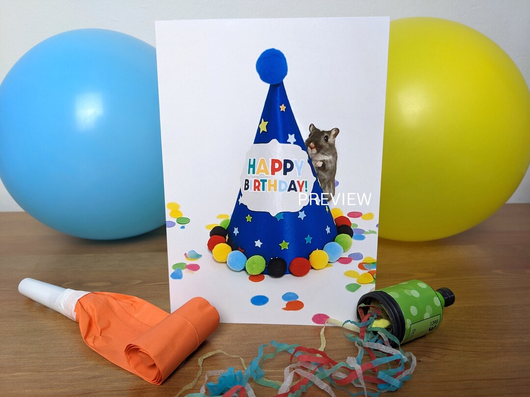 Cute Gerbil Birthday Card, Happy Birthday Hat, Vertical Animal A6 ...