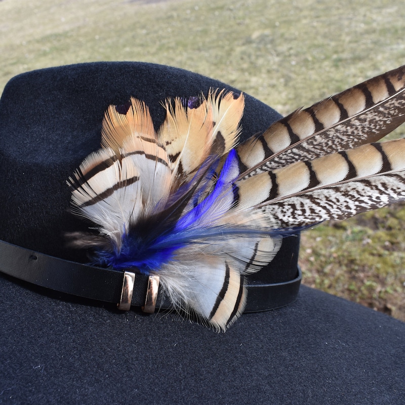 Hat Feathers - Etsy