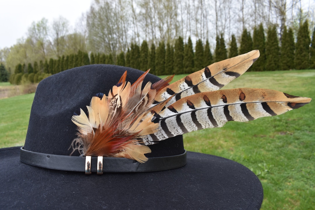 Turkey Feather for Hat Cowboy, Fedora, Trilby for Men, Women, Unisex ...