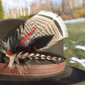 Turkey Feather for Hat Cowboy, Fedora, Trilby for Men, Women, Unisex ...