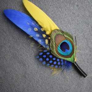 Hat Feathers for Men, Women, Unisex, Handmade, Western Style, Trilby ...