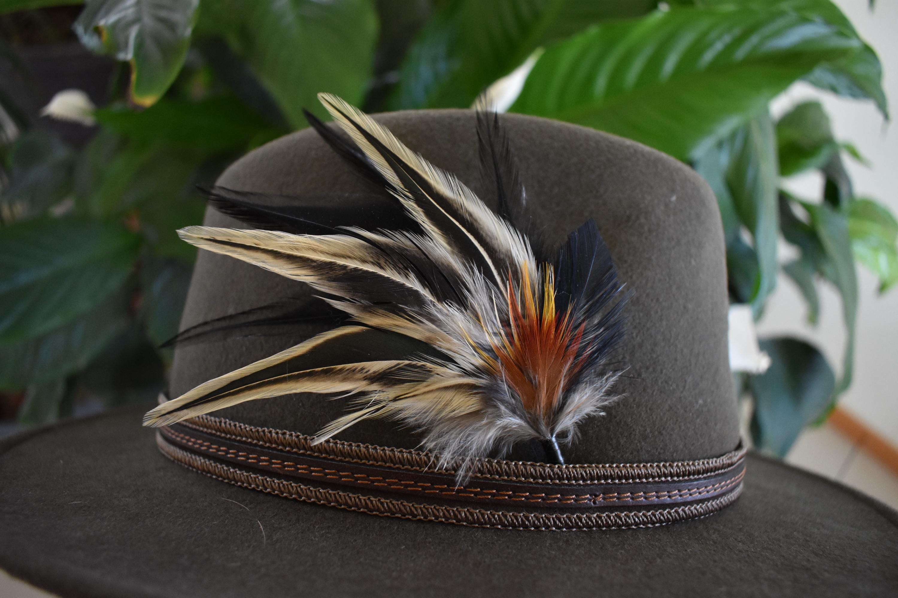 Hat Feathers for Men, Women, Unisex, Handmade, Trilby, Fedora Hat. 24 ...