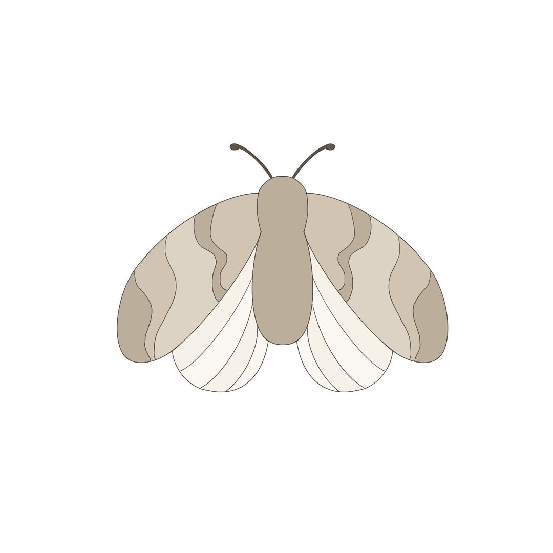 Moth Cookie Cutter - Etsy