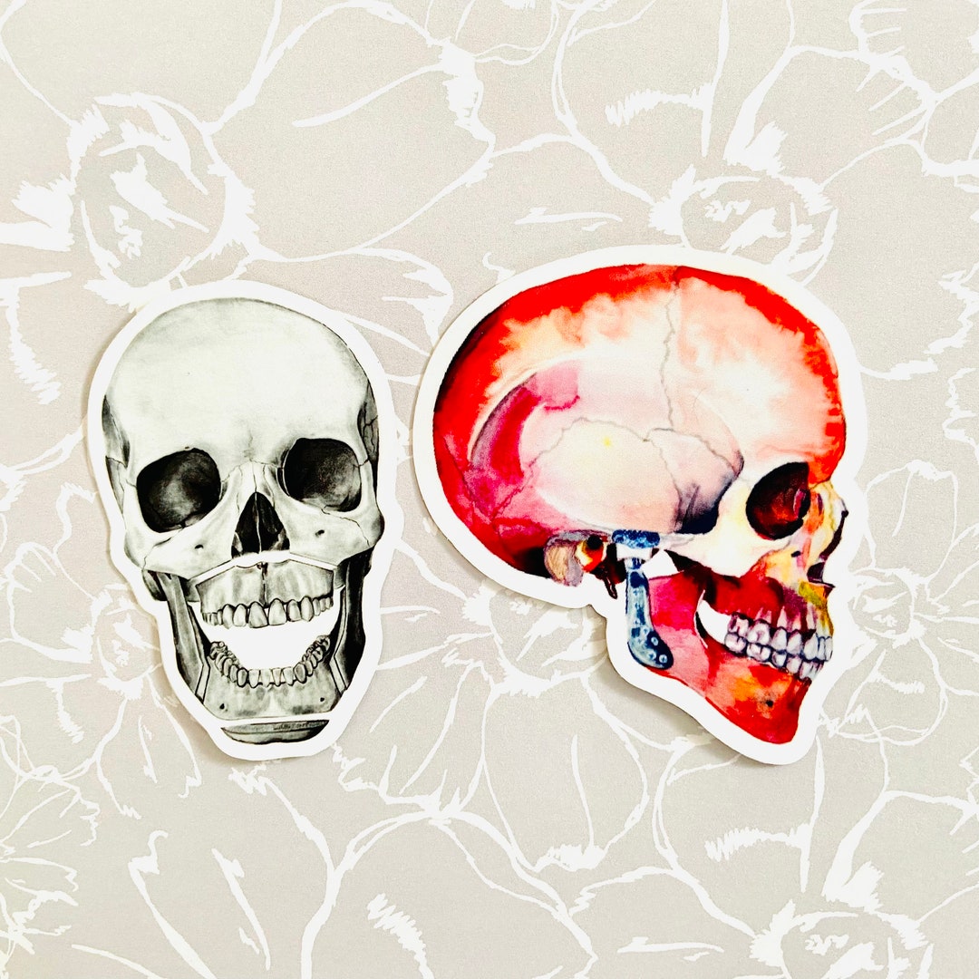 Oral Surgery Sticker Pack: Tmj-tjr/triple Jaw (2 Stickers) - Etsy