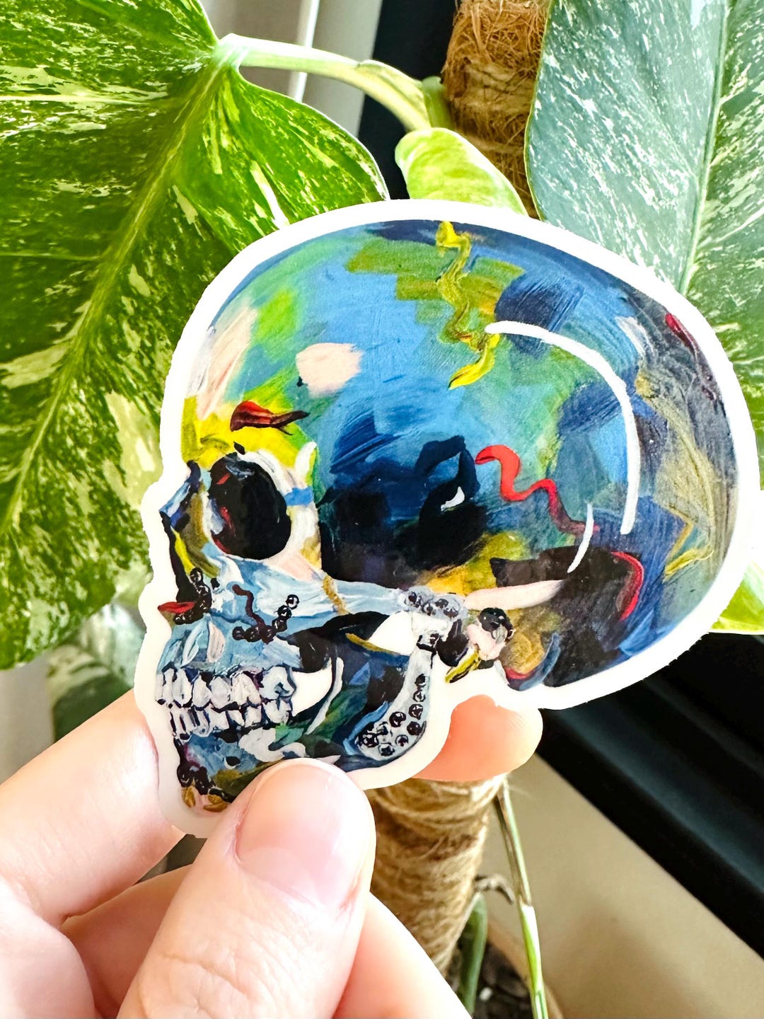 TMJ TJR and Lefort I Skull Sticker - Etsy