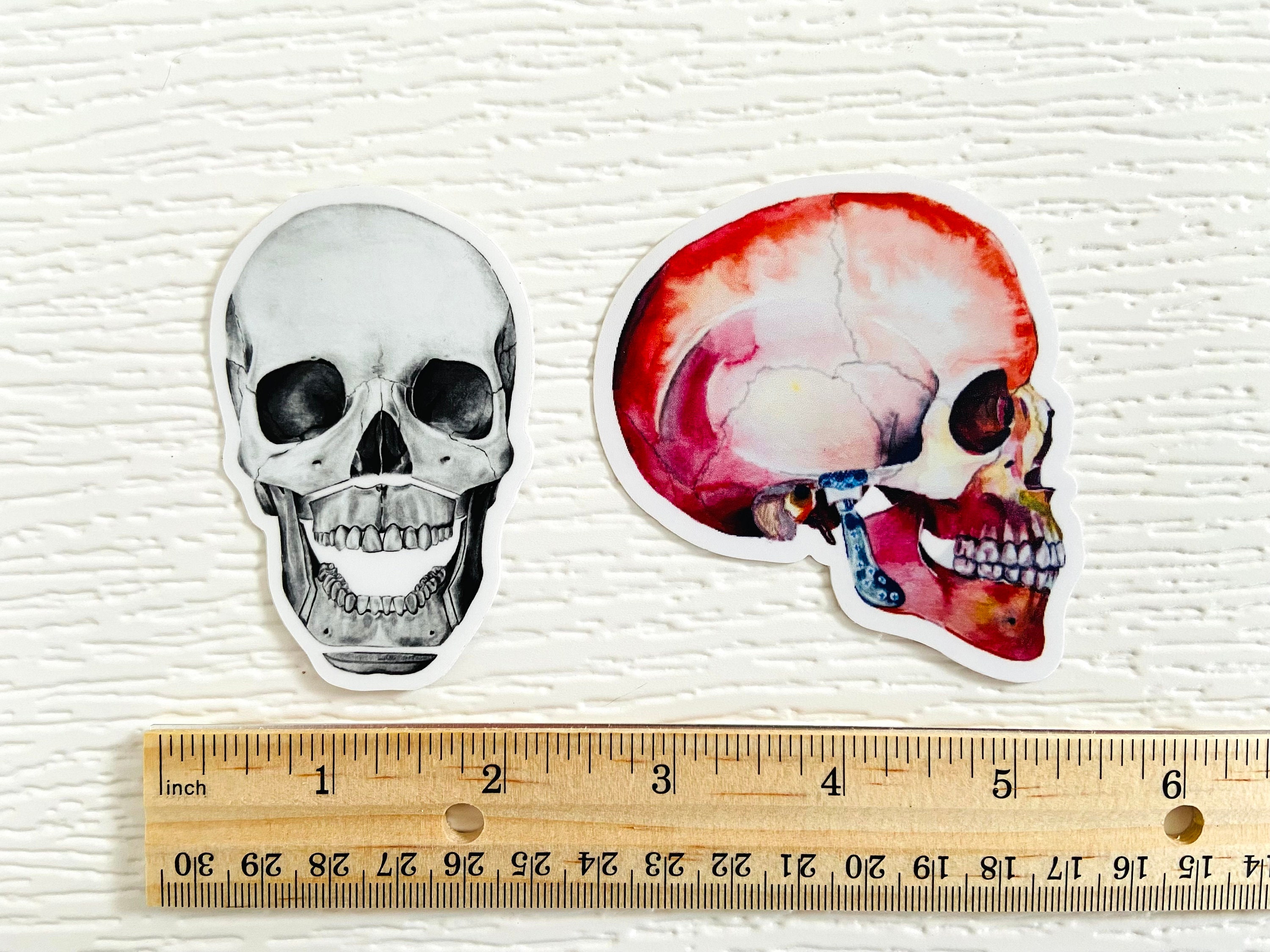 Oral Surgery Sticker Pack: Tmj-tjr/triple Jaw 2 Stickers - Etsy