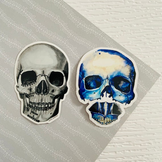 Oral Surgery Sticker Pack: Lefort/trauma 2 Stickers | Etsy