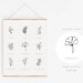 Fruit of the Spirit Poster, Minimalist Bible Art, Botanical Christian ...
