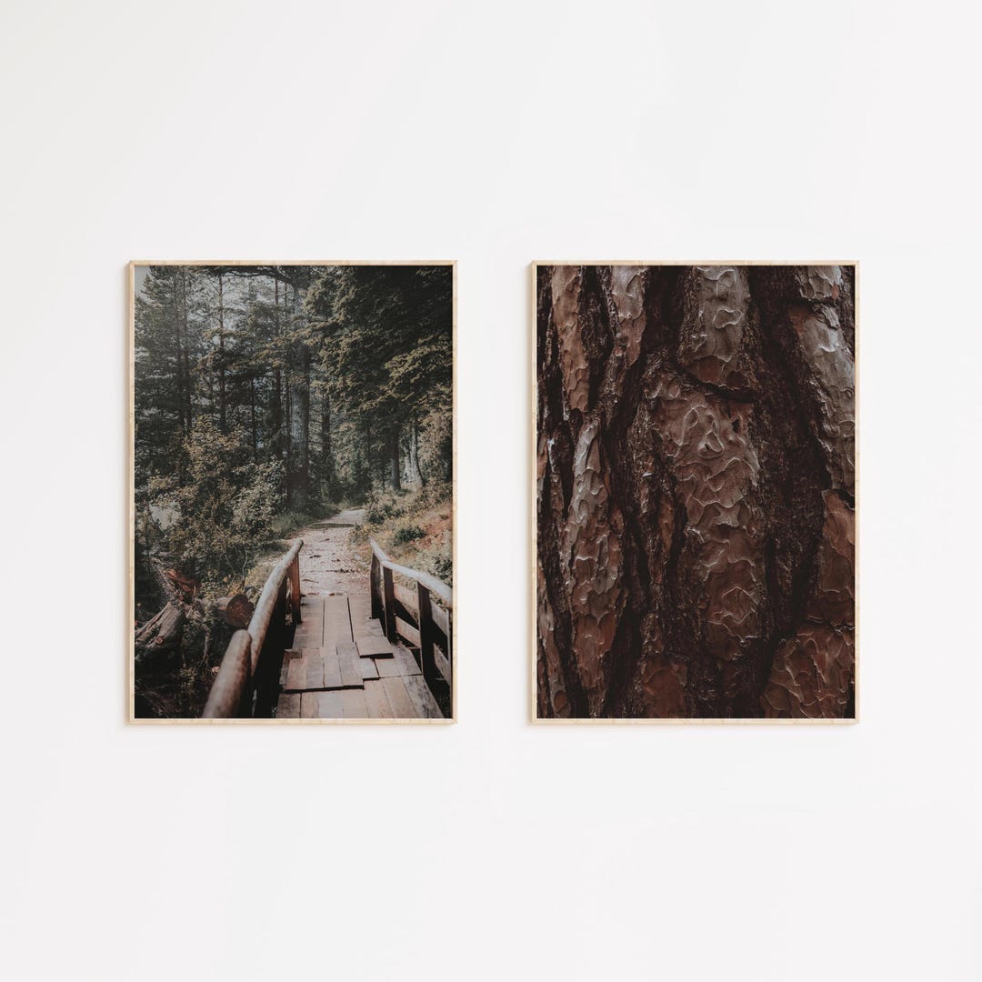 Nature Print Set of 3, Forest Digital Print Set, Forest Bridge Prints ...