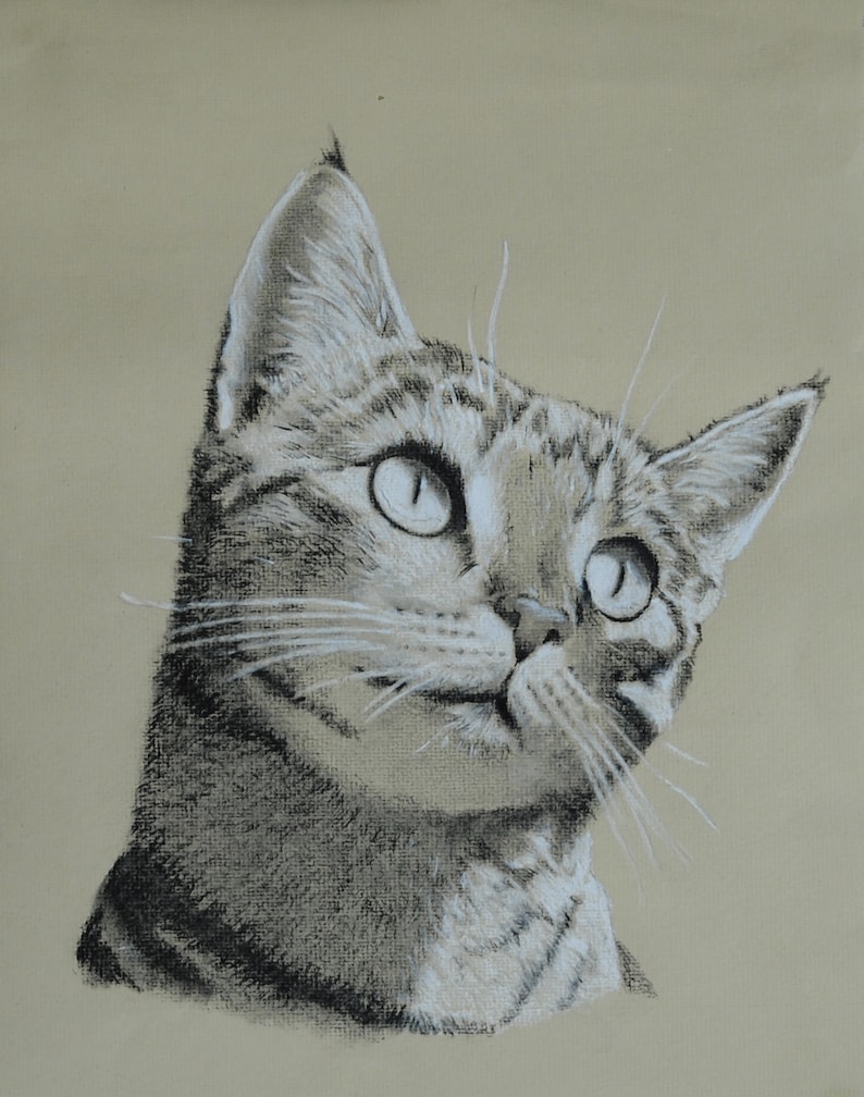 Cat Portrait Charcoal | Custom Drawing From Photo | Gift for Cat Lovers ...