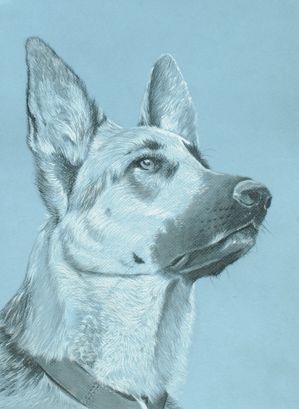 Cat Portrait Charcoal Custom Drawing From Photo Gift for Cat Lovers ...