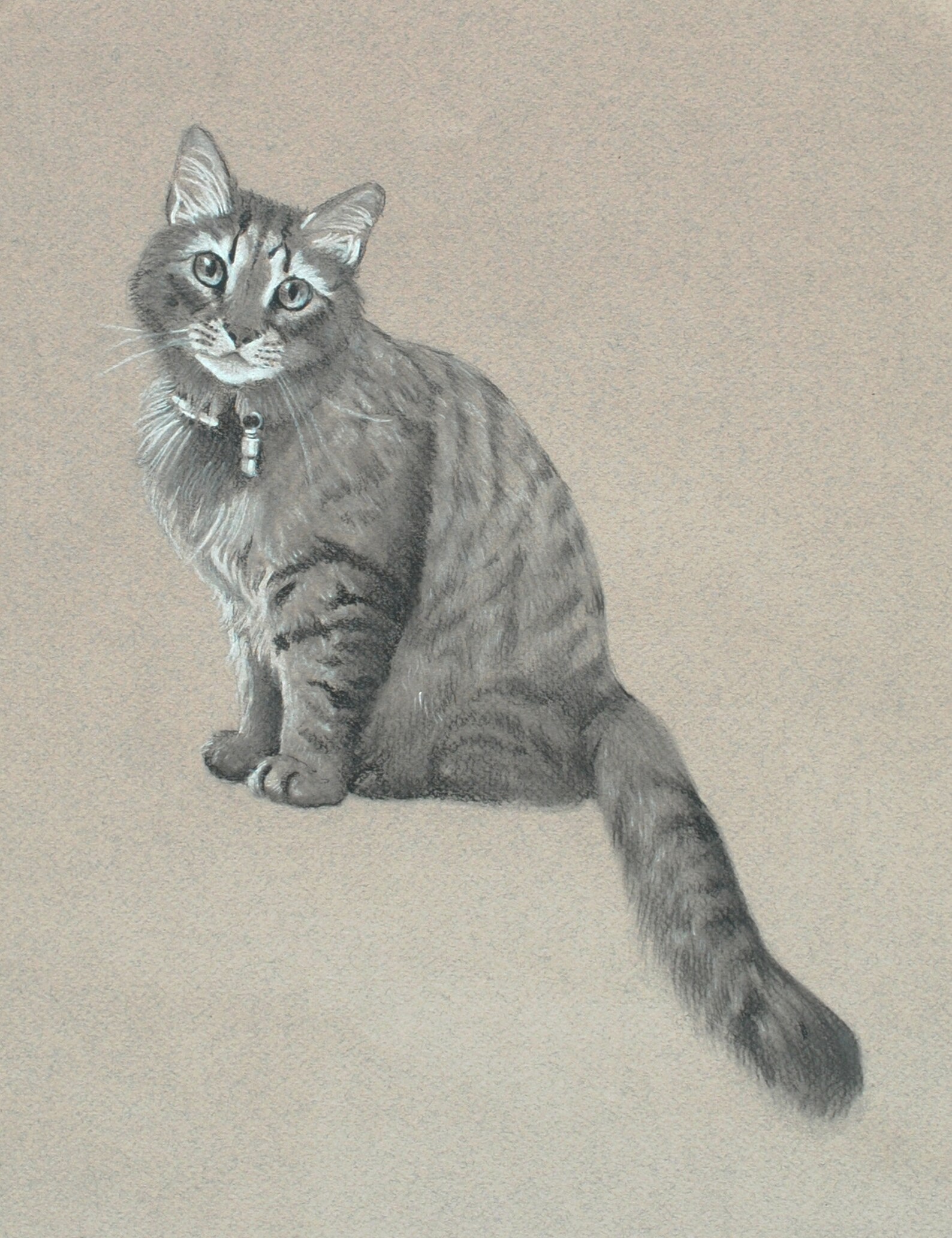 Cat Portrait Charcoal | Custom Drawing From Photo | Gift for Cat Lovers ...