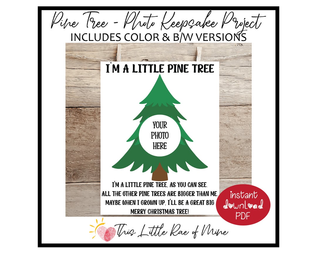 I'm A Little Pine Tree - Photo Keepsake Project - Printable - DIY Craft ...