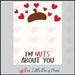 I'm Nuts About You Acorn Valentine's Day Printable Handprint Art ...