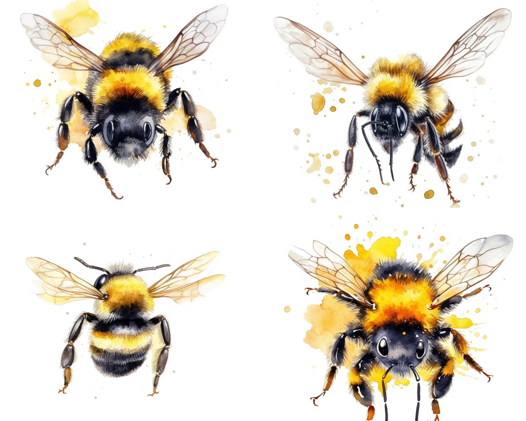 Set of 4 Bumble Bee Watercolor Png Clip Art Files - Etsy