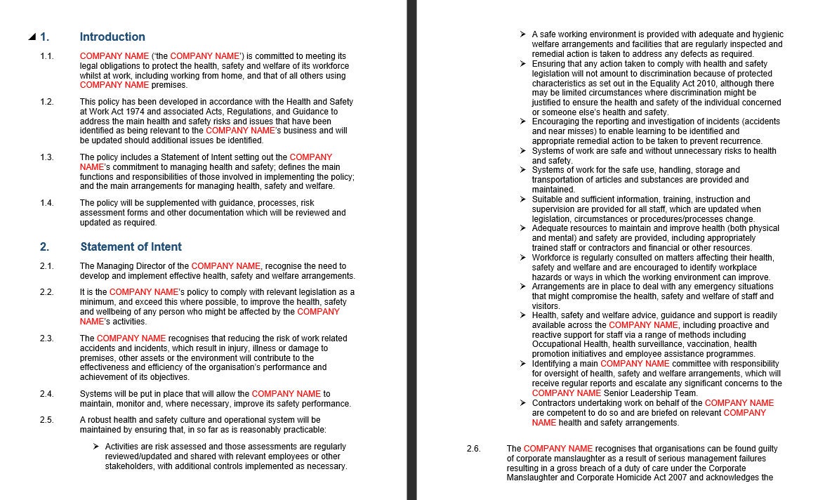 Comprehensive Health and Safety Policy Template With Statement of ...