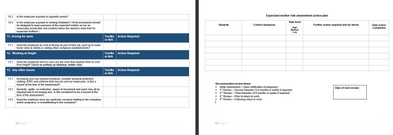 New and Expectant Mother Risk Assessment Form | Expectant Mother Risk ...