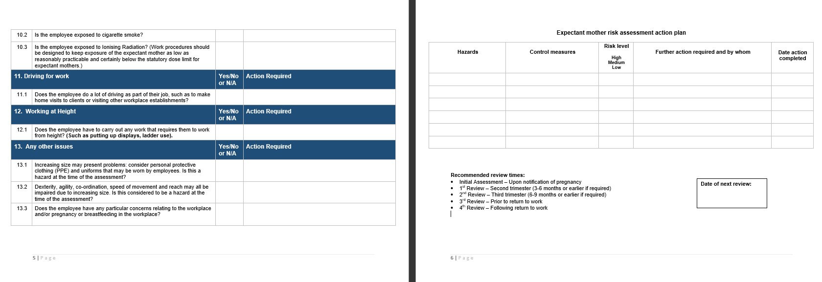 New and Expectant Mother Risk Assessment Checklist Expectant Mother ... New and Expectant Mother Risk Assessment Checklist Expectant Mother ...