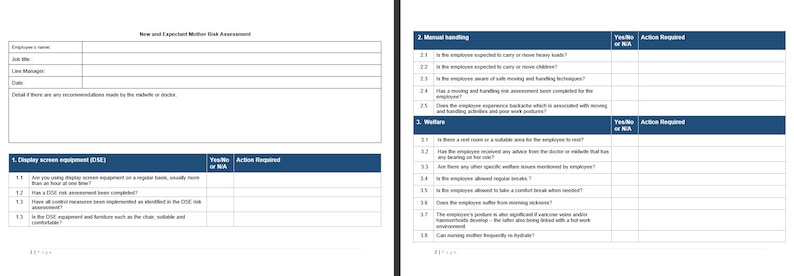 New and Expectant Mother Risk Assessment Form | Expectant Mother Risk ...