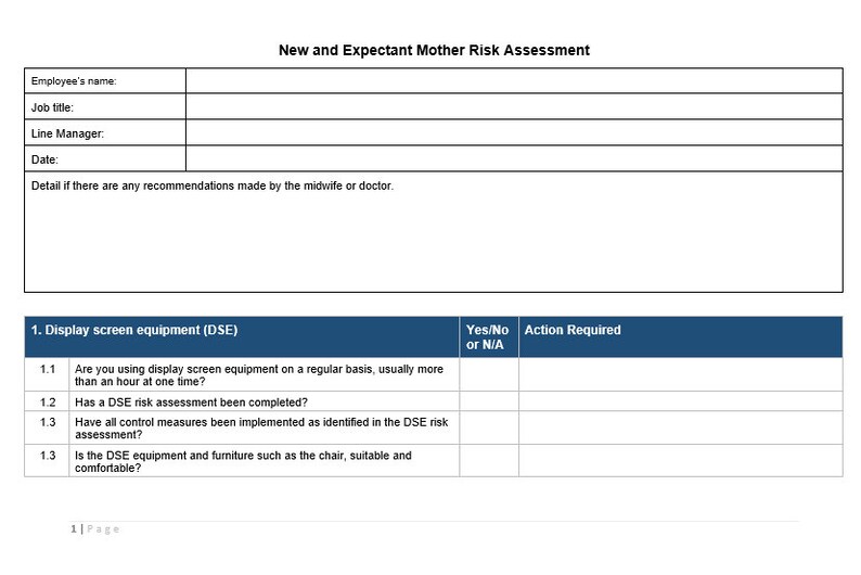 New and Expectant Mother Risk Assessment Form | Expectant Mother Risk ...