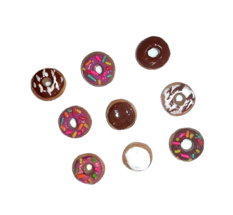 Dozen Dunkin Doughnuts (pack of Twelve) Dollhouse Miniature Food Donuts ...