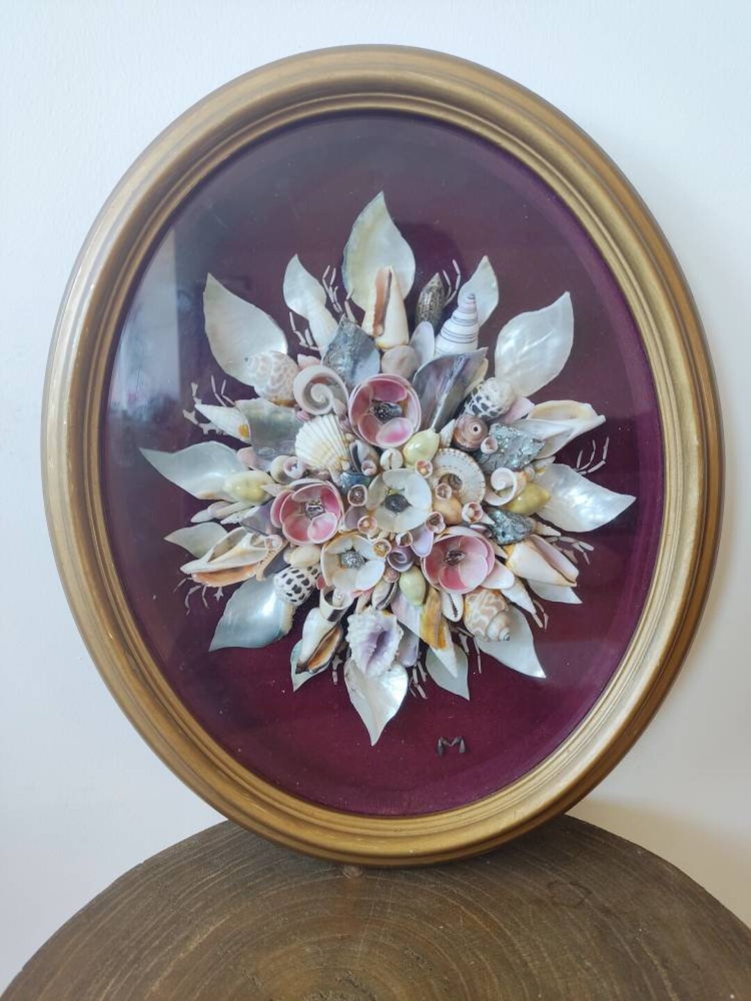 Vintage Shells Painting 1977s With Clams, Coral, Horn and Various Other ...