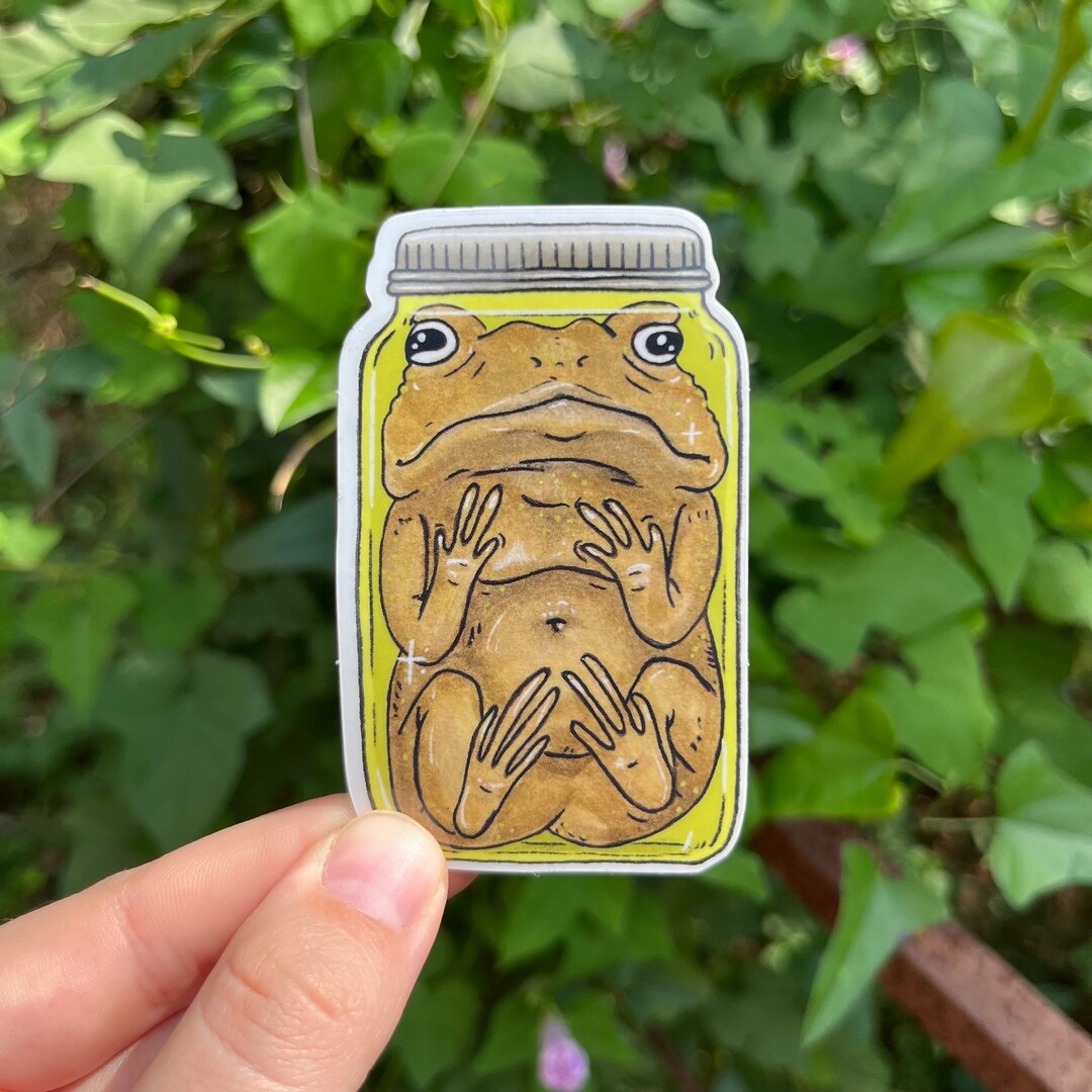 Toad Sticker Waterproof Sticker Frog Art Frogcore Swampcore Cottagecore ...