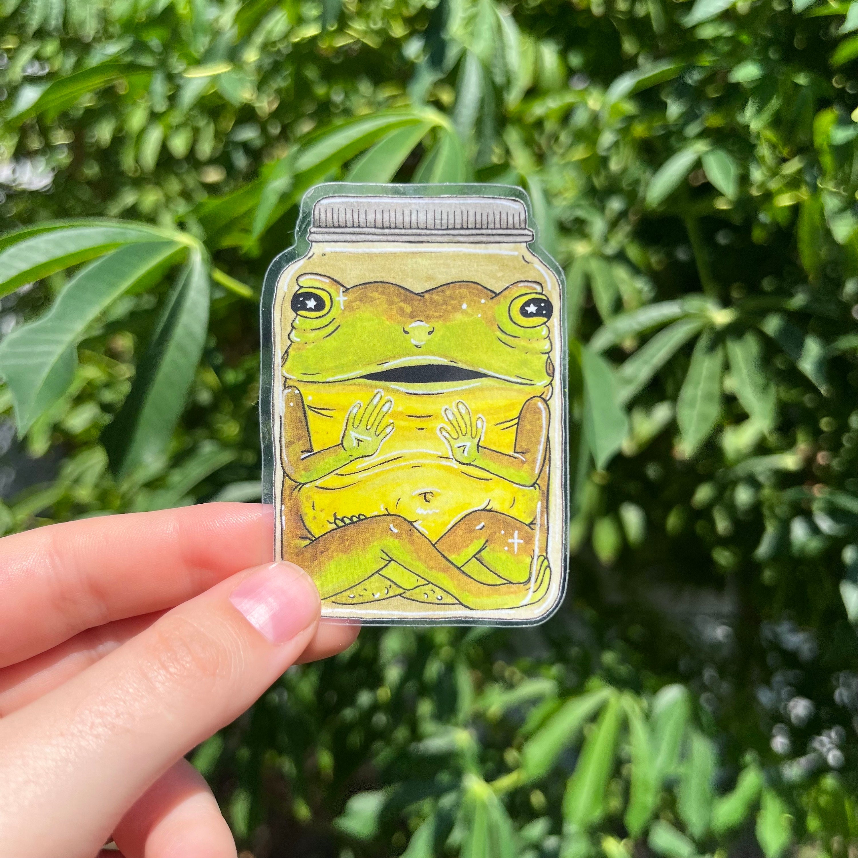 Bullfrog Sticker Waterproof Sticker Frog Art Frogcore - Etsy