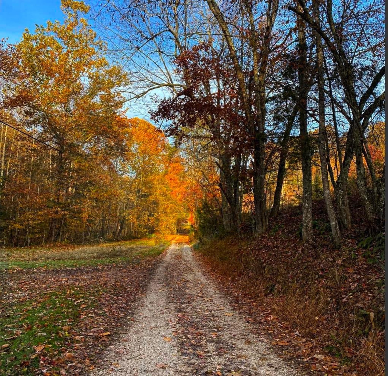 A Holler in Appalachia - Etsy